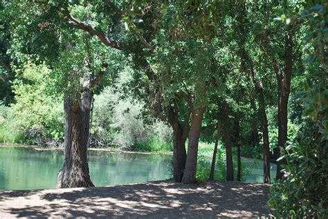 The Best Things To Do In Stockton California