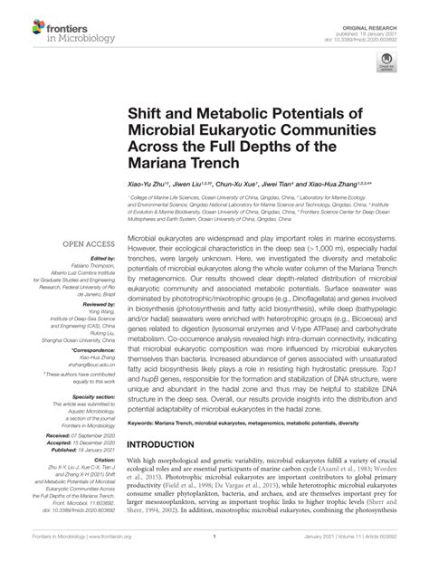 Pdf Shift And Metabolic Potentials Of Microbial Eukaryotic Communities Across The Full Depths