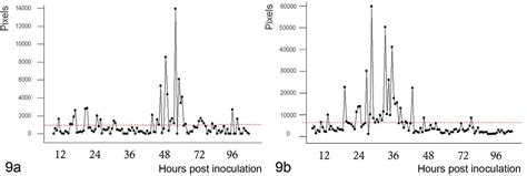 Figure 2 From Susceptibility Of Balbc Nunu Mice And Balbc Mice To
