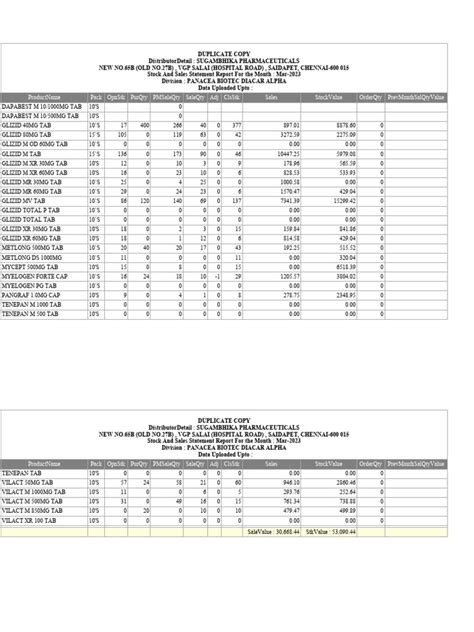 Statement Report Pdf