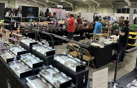 Snakes Lizards Tortoises Were Stars At Gonzales Reptile Show