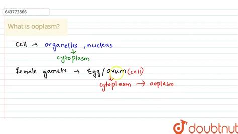 Odia Solution What Is Ooplasm