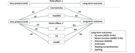 graphical representation of the parallel multiple mediator model c