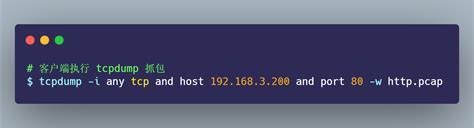 TCP 实战抓包分析 小林coding