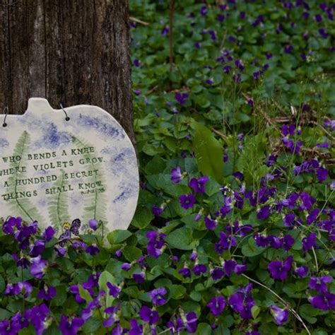 Beyond The Garden Gate How Native Herbs Sustain Us National Garden