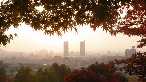 Daejeon Güney Kore Şehri Asialogy
