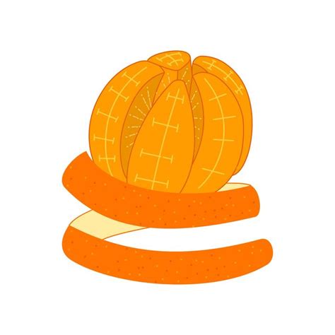 Orange Peel Vector Art Icons And Graphics For Free Download