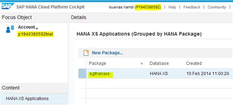 Get Started On Hana Cloud Platform Hcp Xs Develo Sap Community
