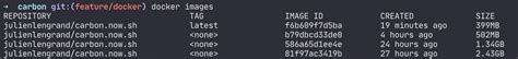 reducing docker s image size while creating an offline version of