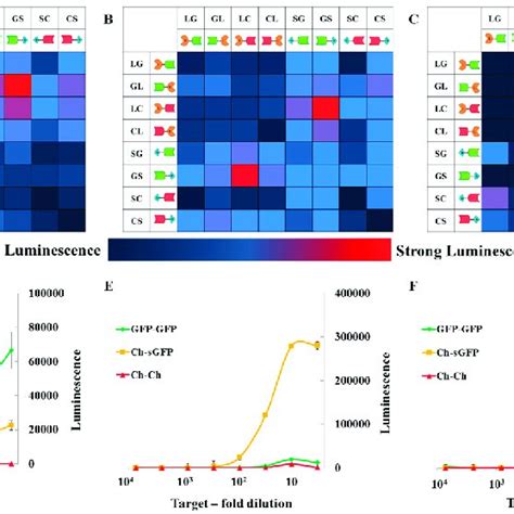 Schematic Representations Of Protein Complementation Assays A A