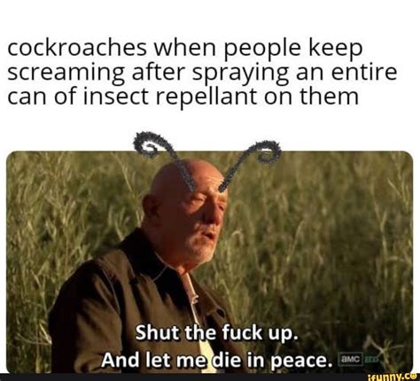 Cockroaches When People Keep Screaming After Spraying An Entire Can Of