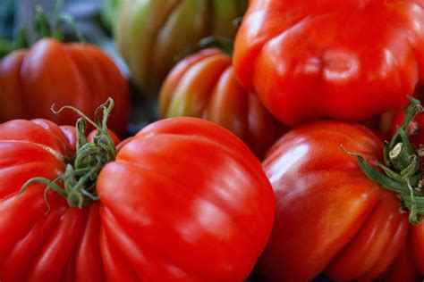 14 Tomato Varieties To Grow In Australia Ultimate Backyard