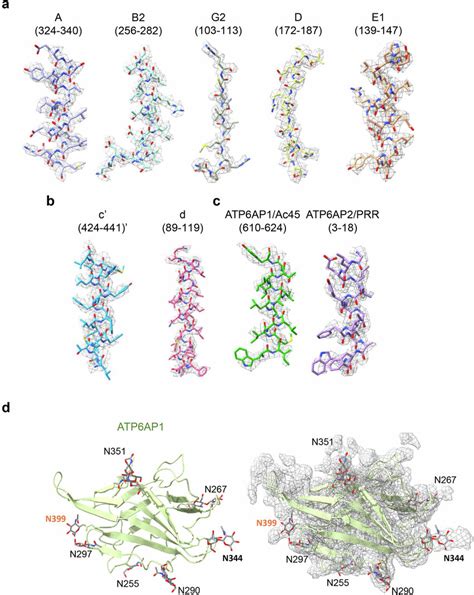 Examples Of Map Quality And Atomic Model Fits Related To Fig 3 A Download Scientific
