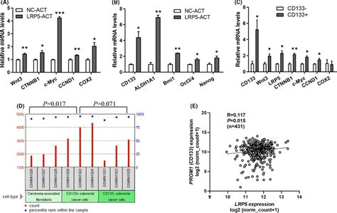 Activation Of Lrp5 Upregulates The Expression Of Crucial Genes Involved