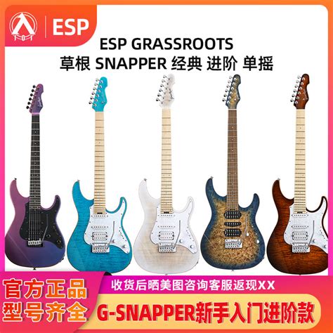 Beginner Musician101 Esp Grassroots Grass Root Snapper Electric Guitar Beginners Guide To