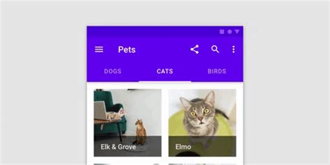 Flutter Tabs With NestedScrollView And SliverAppBar Stack Overflow