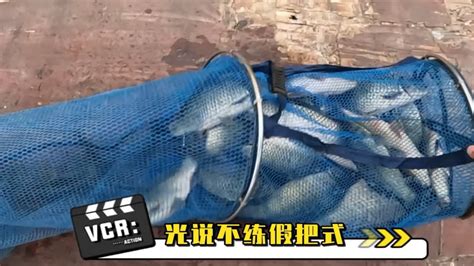 谷麦钓黑坑，效果惊人！光说不练假把式，实战来测试～ Youtube