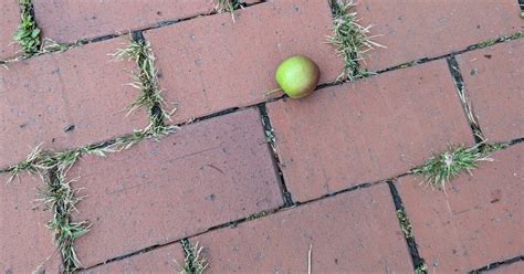 Kubernetes完全ガイドでk8s入門2｜jnkykn