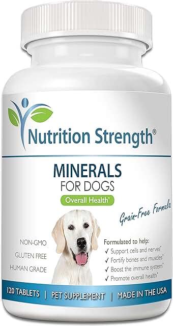 Amazon.com: magnesium for dogs