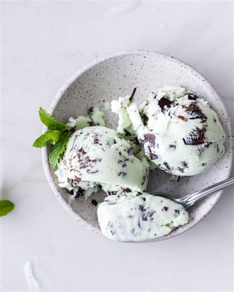 Fresh Mint Chocolate Chip Ice Cream With Spice