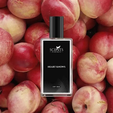 Best Perfumes For Women Scents N Secrets