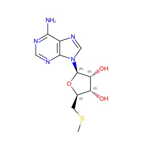Rcsb Pdb 7l1a Human Methionine Adenosyltransferase 2a Bound To Methylthioadenosine And