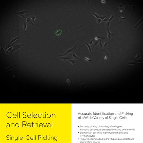 Single Cell Picking Technical Note Cell Selection And Retrieval Sartorius