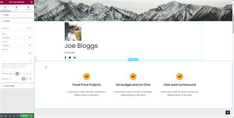 Team Member Widget Themeisle Docs