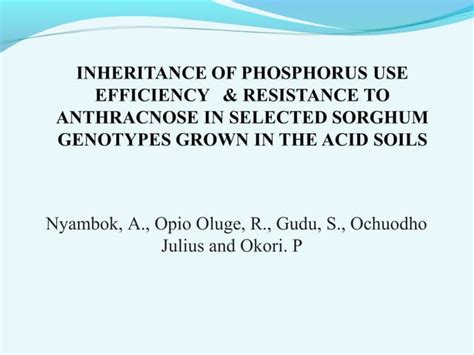 Inheritance Of Phosphorus Use Efficiency And Resistance To Anthracnose In Selected Sorghum
