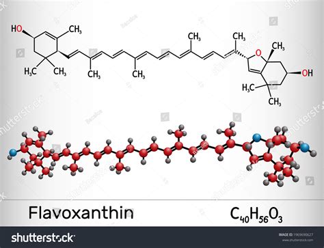 Flavoxanthin Molecule Xanthophyll Goldenyellow Color Pigment Stock