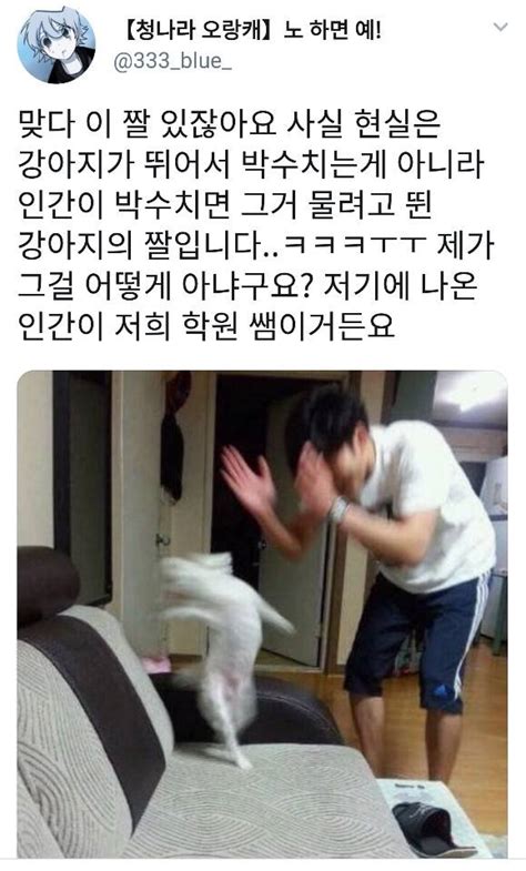 인싸들의 공간 전설의 강아지 잘한다 짤 비하인드 스토리 ㅋㅋㅋㅋㅋㅋㅋㅋㅋㅋㅋㅋㅋㅋㅋㅋㅋㅋㅋㅋㅋㅋㅋ Facebook