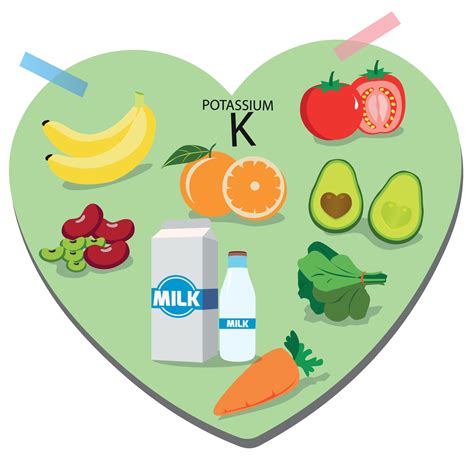 Illustration Vector Potassium 17075540 Vector Art At Vecteezy