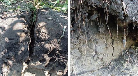 Mitigate And Alleviate Compaction For Better Strip Till Outcomes