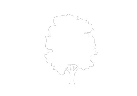 Free Trees Elevation Cad Blocks — Dwg Download