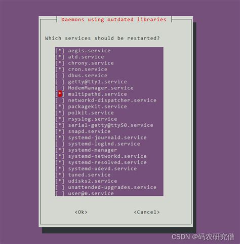 出现 daemons using outdated libraries 的解决方法 bug csdn专栏