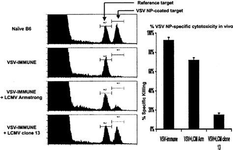 Loss Of Functional Memory After Memory T Cell Attrition Functional Cd8 Download Scientific