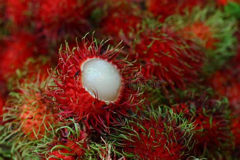 Rambutan Fruit In Red Color With Hairy Out And White Inside Stock