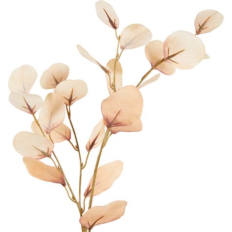 Eucalyptus Stem Cream Homebase