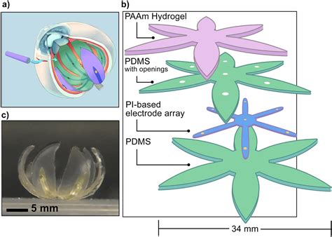 Advanced Functional Polymer Laboratory Home Of Advanced Functional