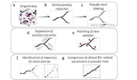 analysis scheme of the manifold detection framework a the framework