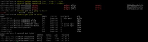 traceloop is not working for falco pods azure aks v1 25 6 · issue