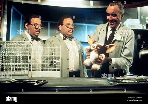 Gremlins 2 Irokesenspinne