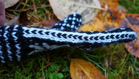 Puikoissa Kakkonen Oravannahka