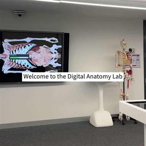 Helen Anscomb On Linkedin An Impressive Wonderfully Interactive Facility