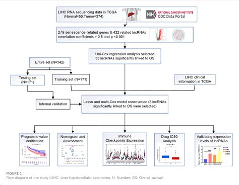 Figure 1 From Development And Validation Of A Novel Cellular Senescence