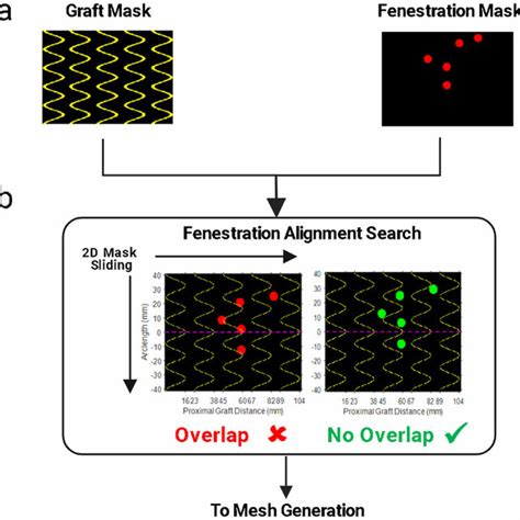 Fenfit Search Algorithm Convolution Of The Fenestration And Graft Mask