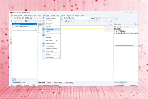 Rapid Css 软件 官方授权正版软件平台