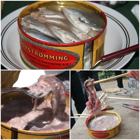 Món Surstromming Với Mùi Hôi Thối Gây ám ảnh Cho Nhiều Người ở Thụy Điển