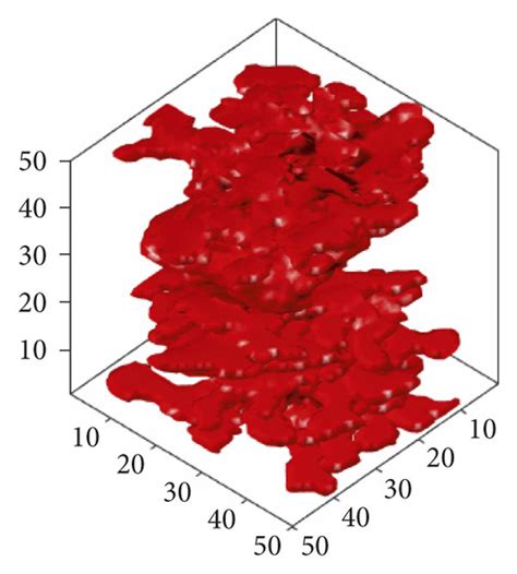 the segmentation results of computer simulated images with 30 noise