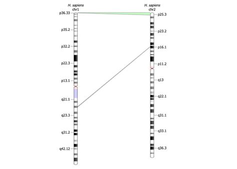 Python 可视化 基于 Dash Bio 的生物信息学数据可视化 《技术私房菜》 极客文档